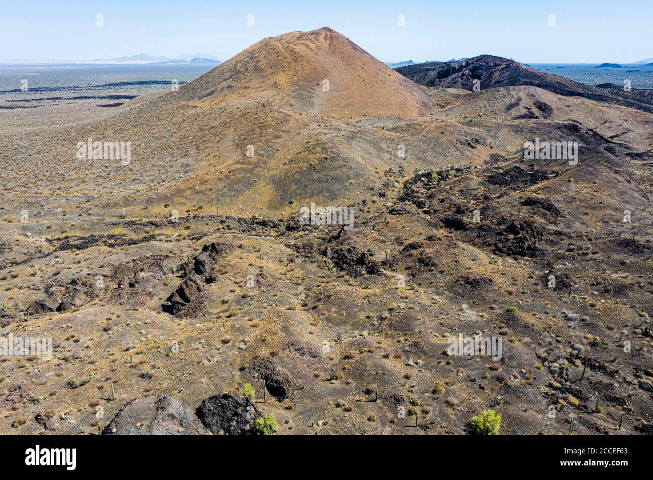 Aerial view of the sparse vegetation of the desert and sierra of the El ...