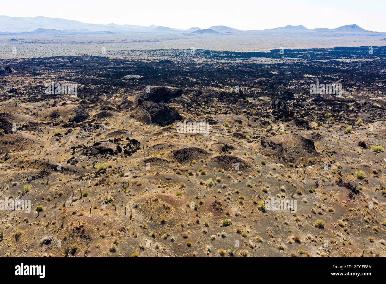 Aerial view of the sparse vegetation of the desert and sierra of the El ...