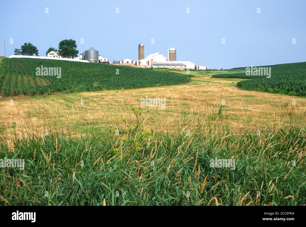 Iowa Farm, showing Erosion Control, Erosion Prevention. Waterway, corn ...