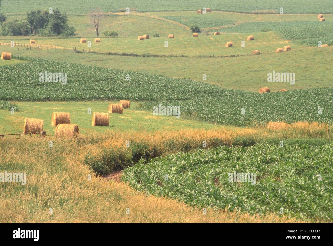 Iowa Farm, showing Erosion Control, Erosion Prevention. Contoured ...