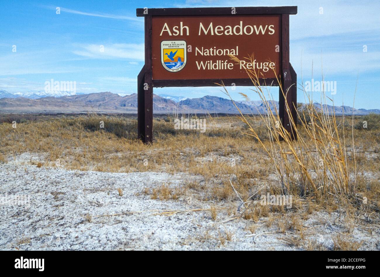 Ash Meadows National Refuge High Resolution Stock Photography and ...