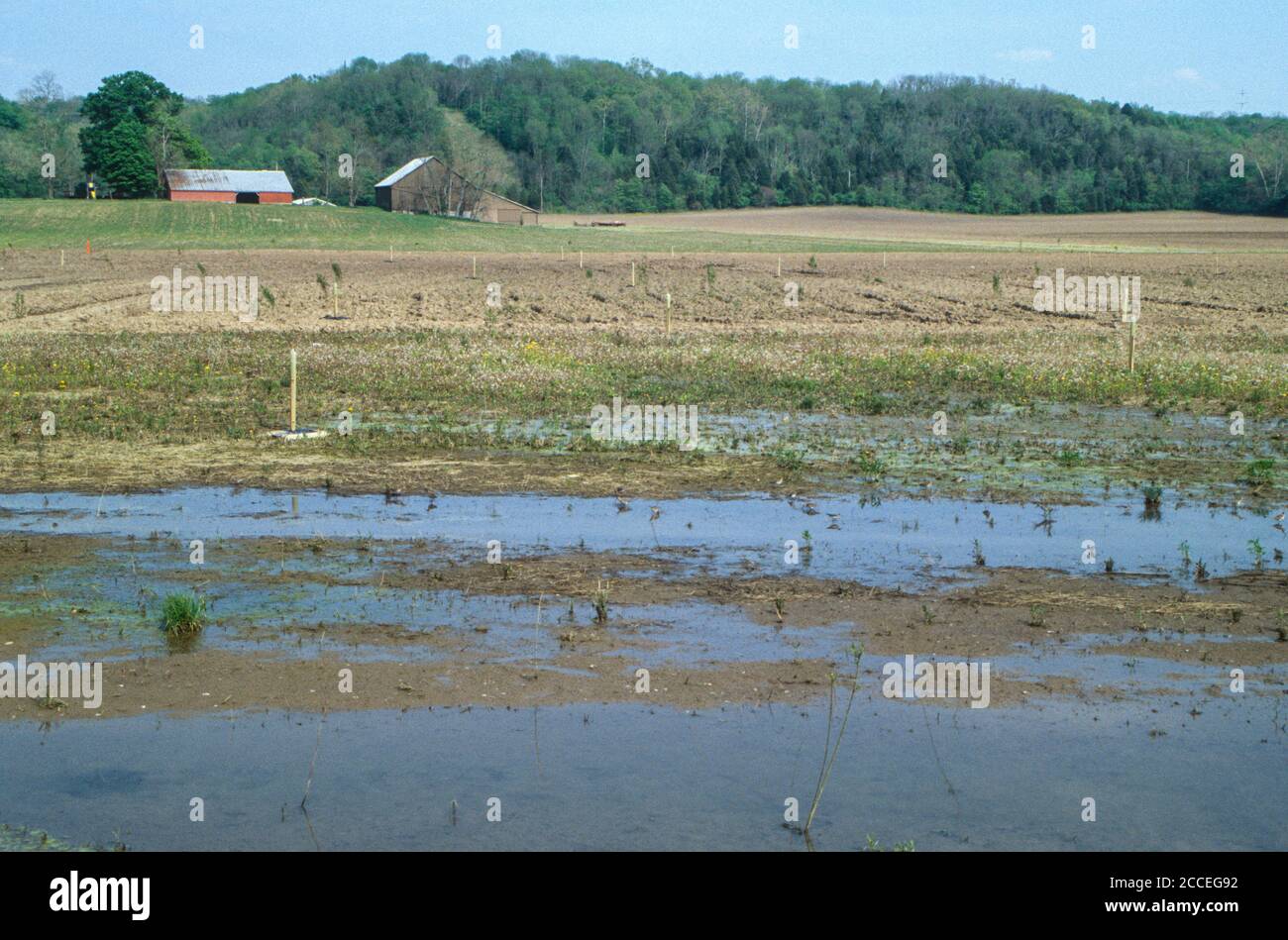 Drainage Control, Water Lying in Field. Field in background has ...