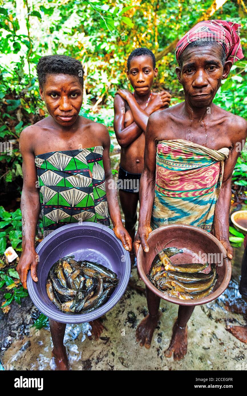 Pygmy tribe in the Dzanga-Sanha Forest Reserve, Central African ...