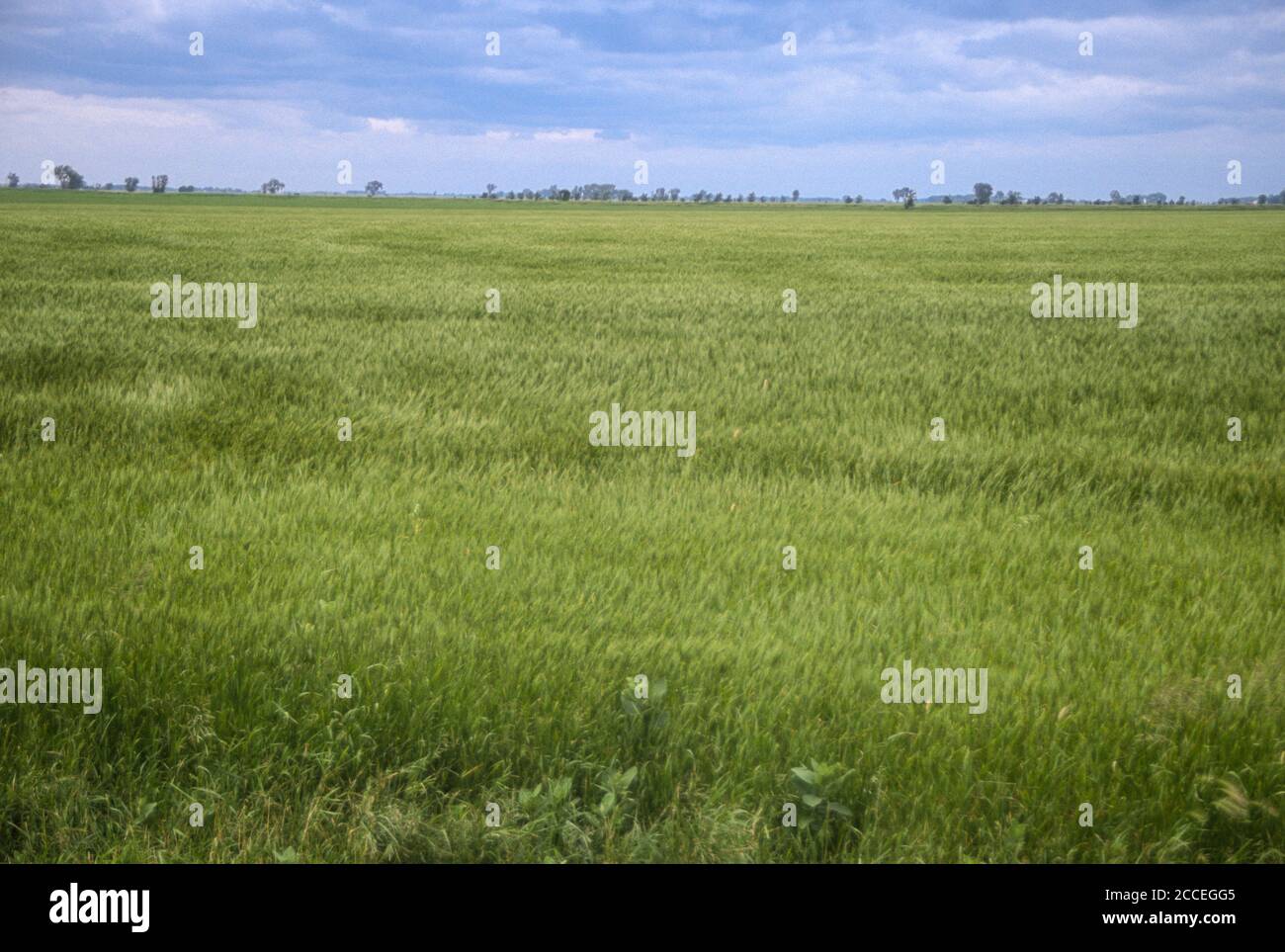 Lake Bed of Prehistoric Lake Agassiz, Minnesota, USA Stock Photo - Alamy