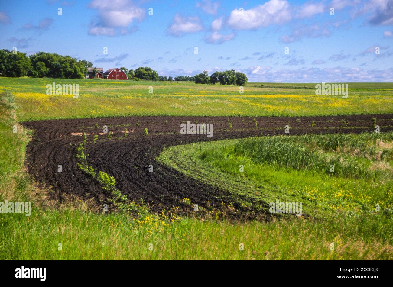 Dark Soil of Minnesota Farmland, USA Stock Photo - Alamy