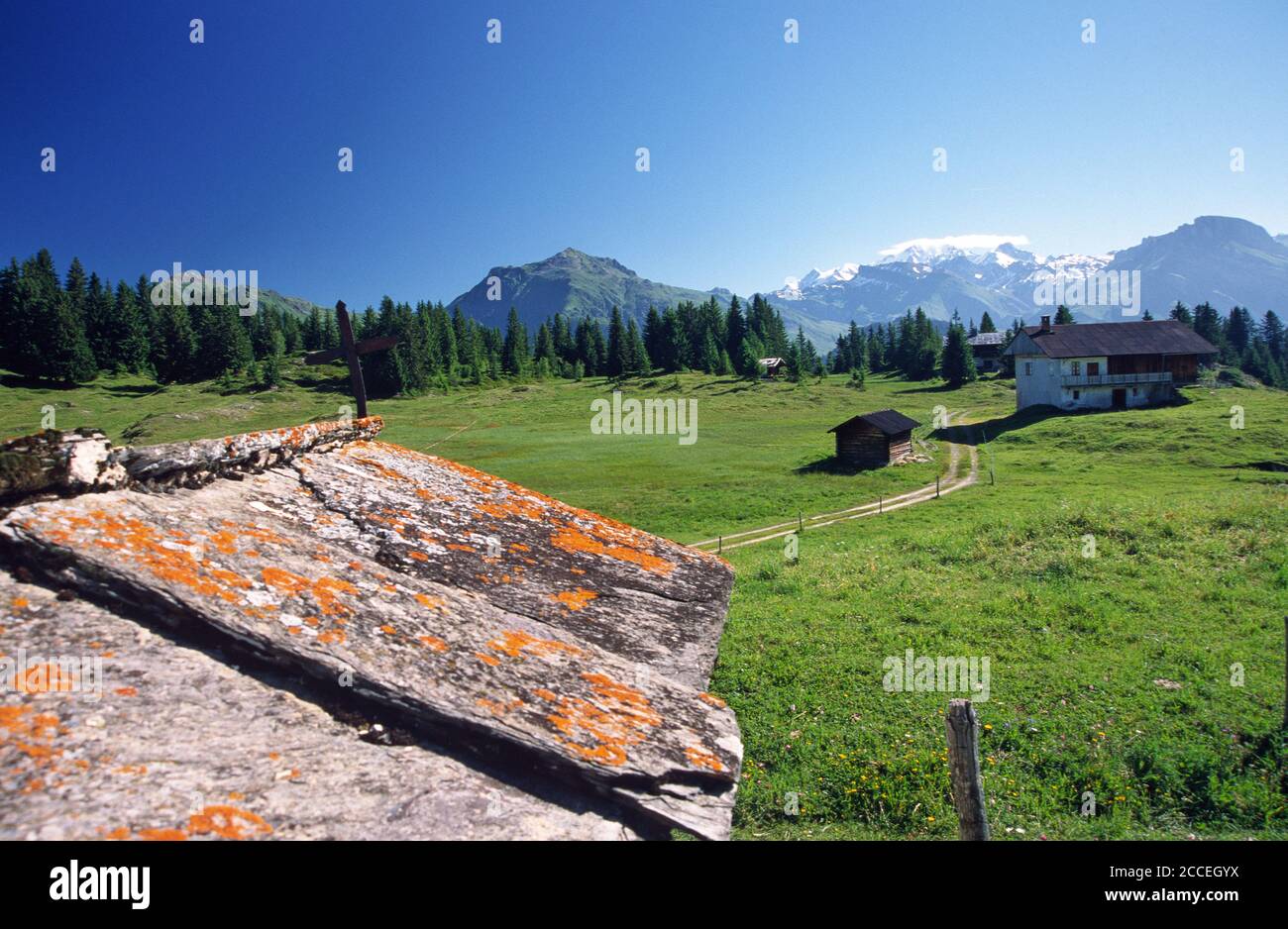 Small oratory hi-res stock photography and images - Alamy
