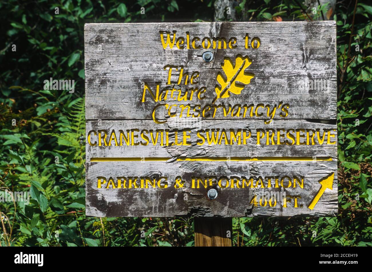 Wetlands Preservation. Cranesville Swamp Preserve, a Nature Conservancy ...