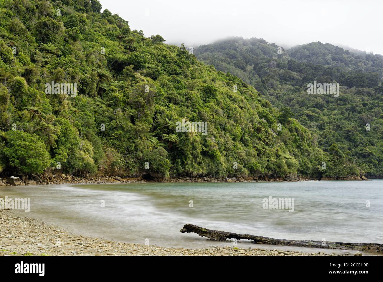 Ship Cove in Queen Charlotte Sound, New Zealand Stock Photo - Alamy