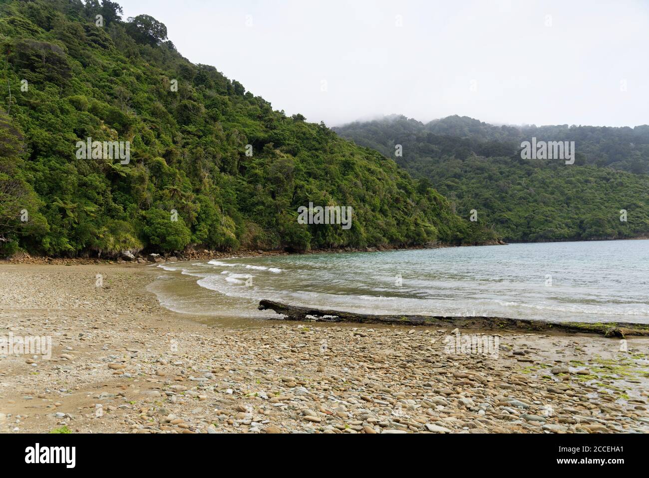 Ship Cove in Queen Charlotte Sound, New Zealand Stock Photo - Alamy