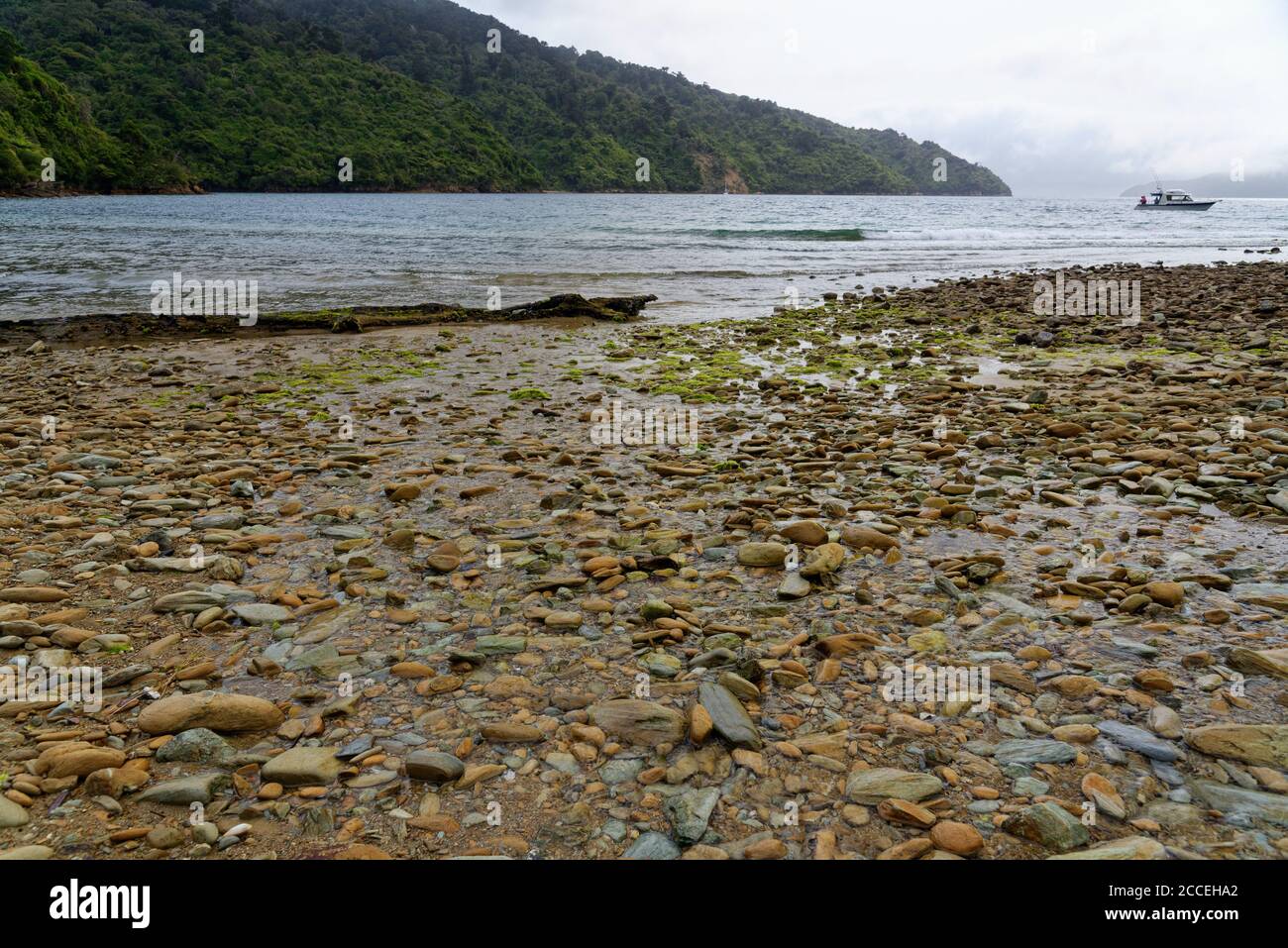 Ship Cove in Queen Charlotte Sound, New Zealand Stock Photo - Alamy