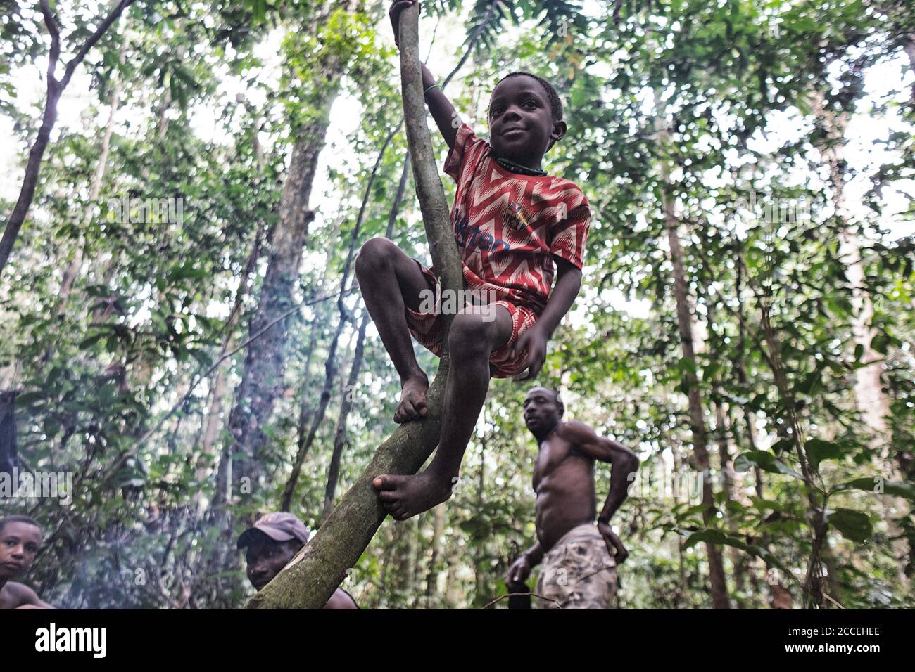 Baka tree hi-res stock photography and images - Alamy