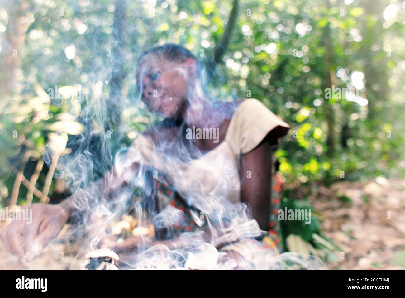 Pygmy tribe in the Dzanga-Sanha Forest Reserve, Central African ...