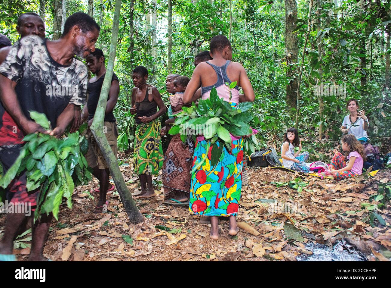 Pygmy tribe in the Dzanga-Sanha Forest Reserve, Central African ...