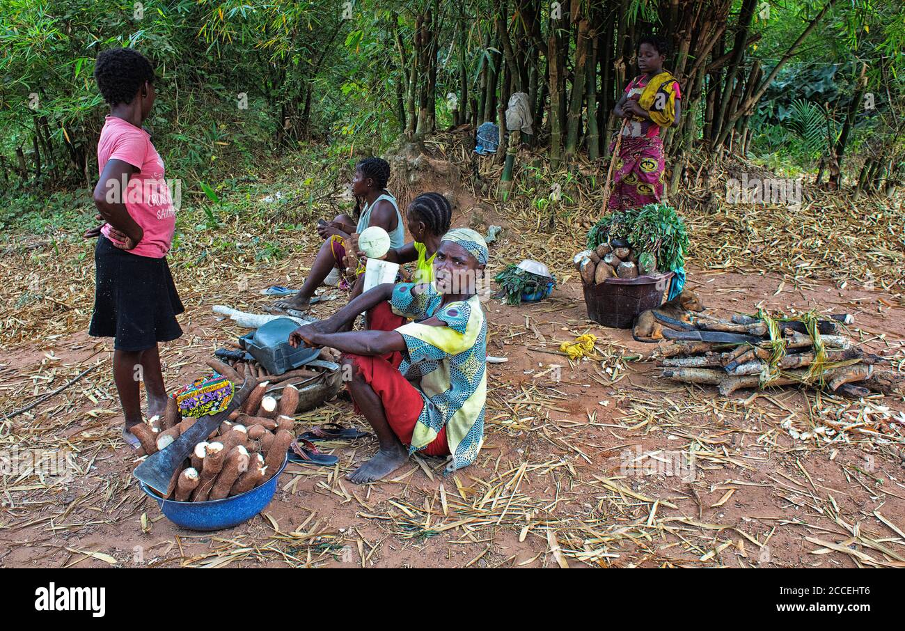 Pygmy tribe in the Dzanga-Sangha Forest Reserve, Central African ...