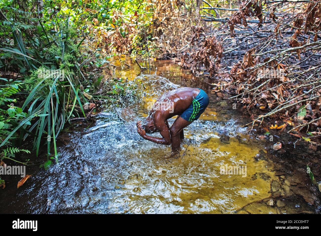 Pygmy man hi-res stock photography and images - Alamy