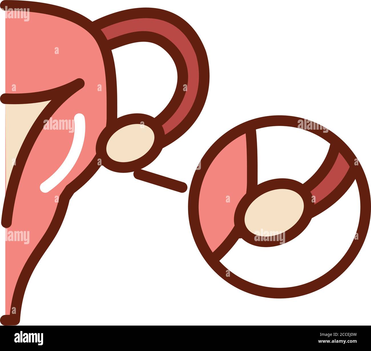 human body ovary anatomy organ health line and fill icon vector ...