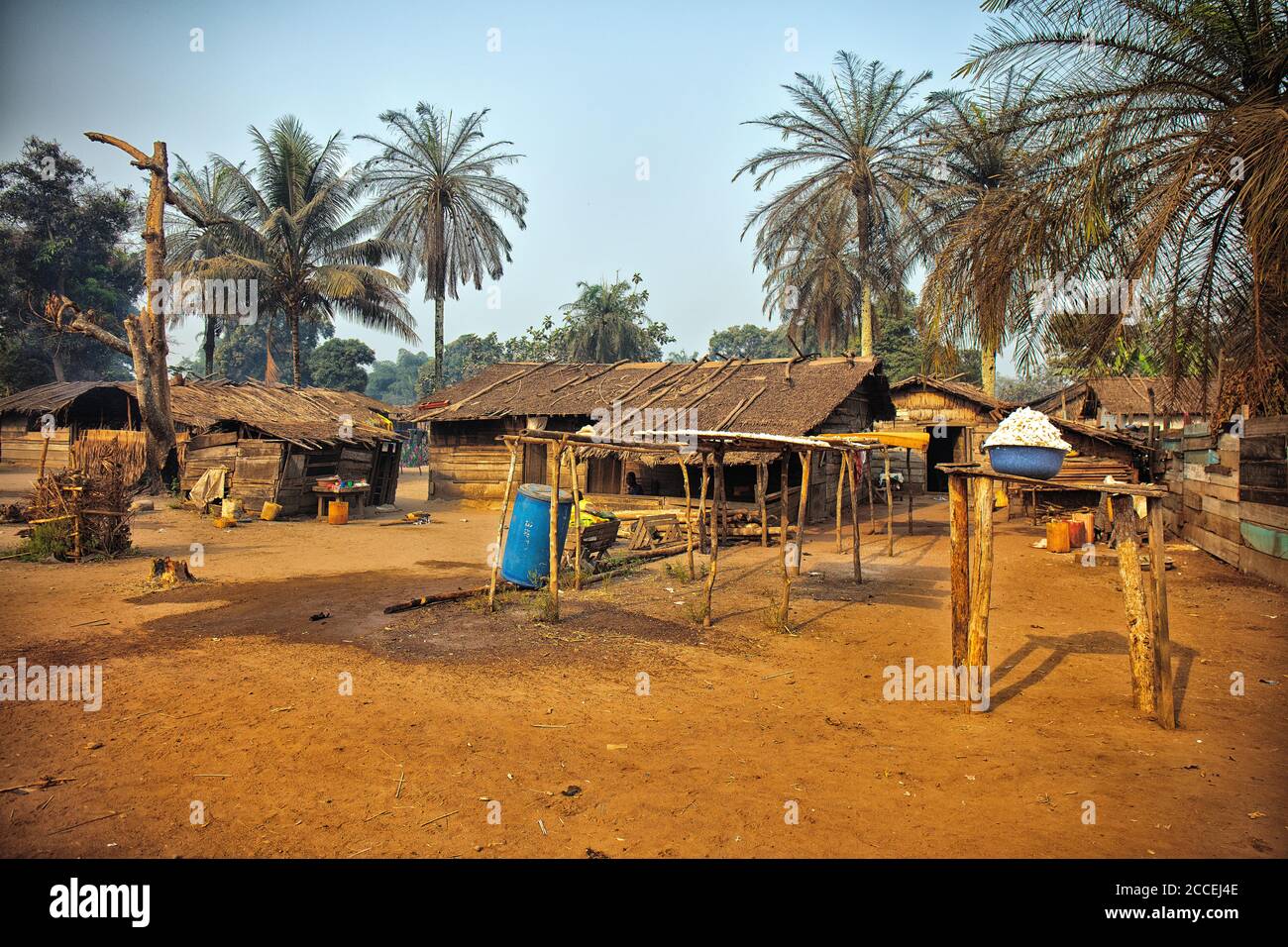 Baka pygmy tribe in Bayanga. Dzanga-Sanha Forest Reserve, Central ...