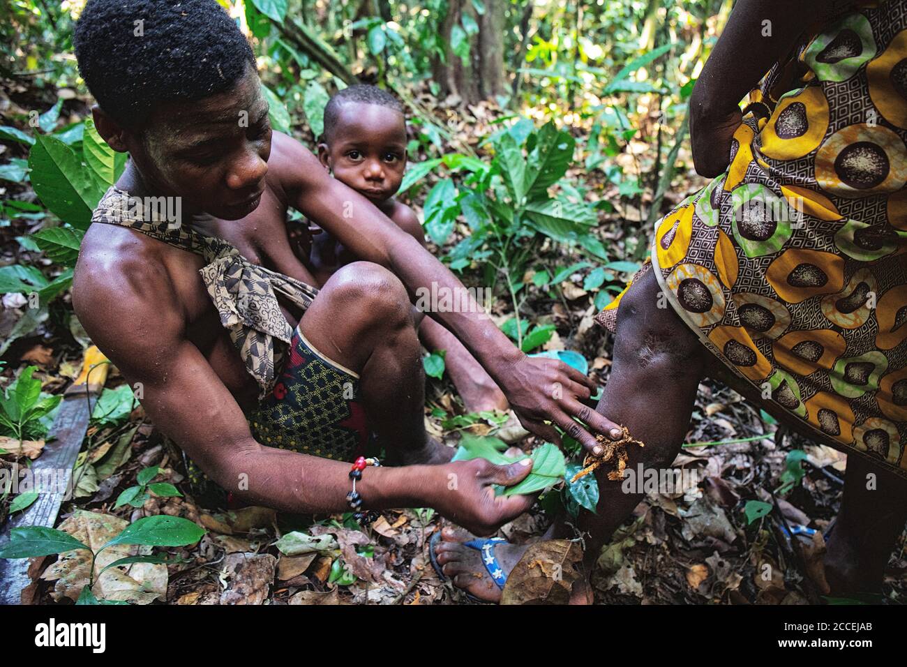 Pygmy tribe in the Dzanga-Sanha Forest Reserve, Central African ...