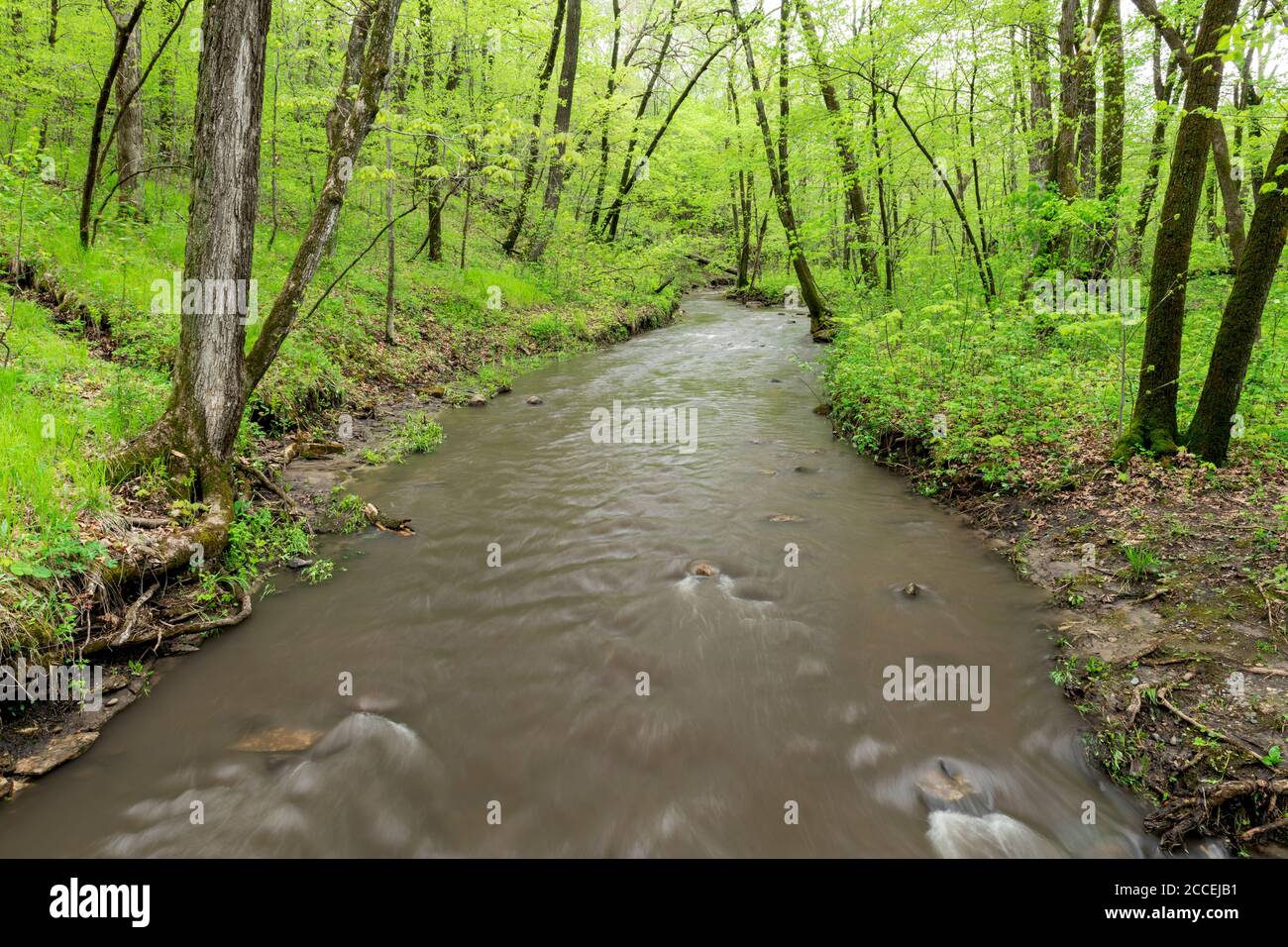 Stream flowing through Caron Park, after heavy rains, Rice County, May ...