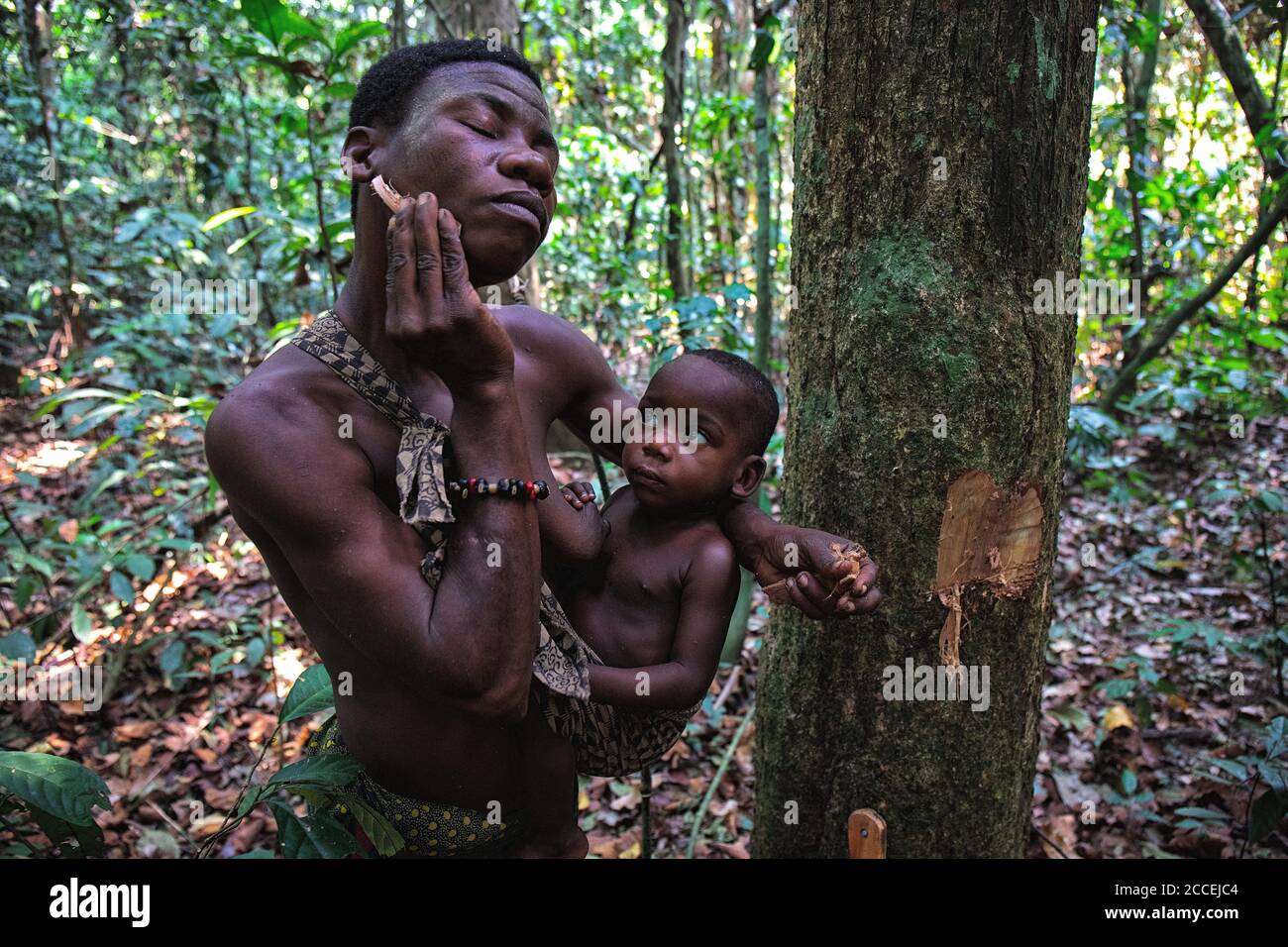 Pygmy tribe in the Dzanga-Sanha Forest Reserve, Central African ...