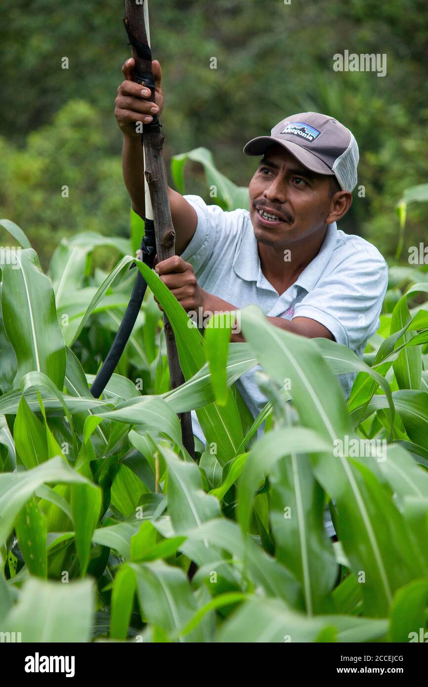 Indigenous farming hi-res stock photography and images - Alamy