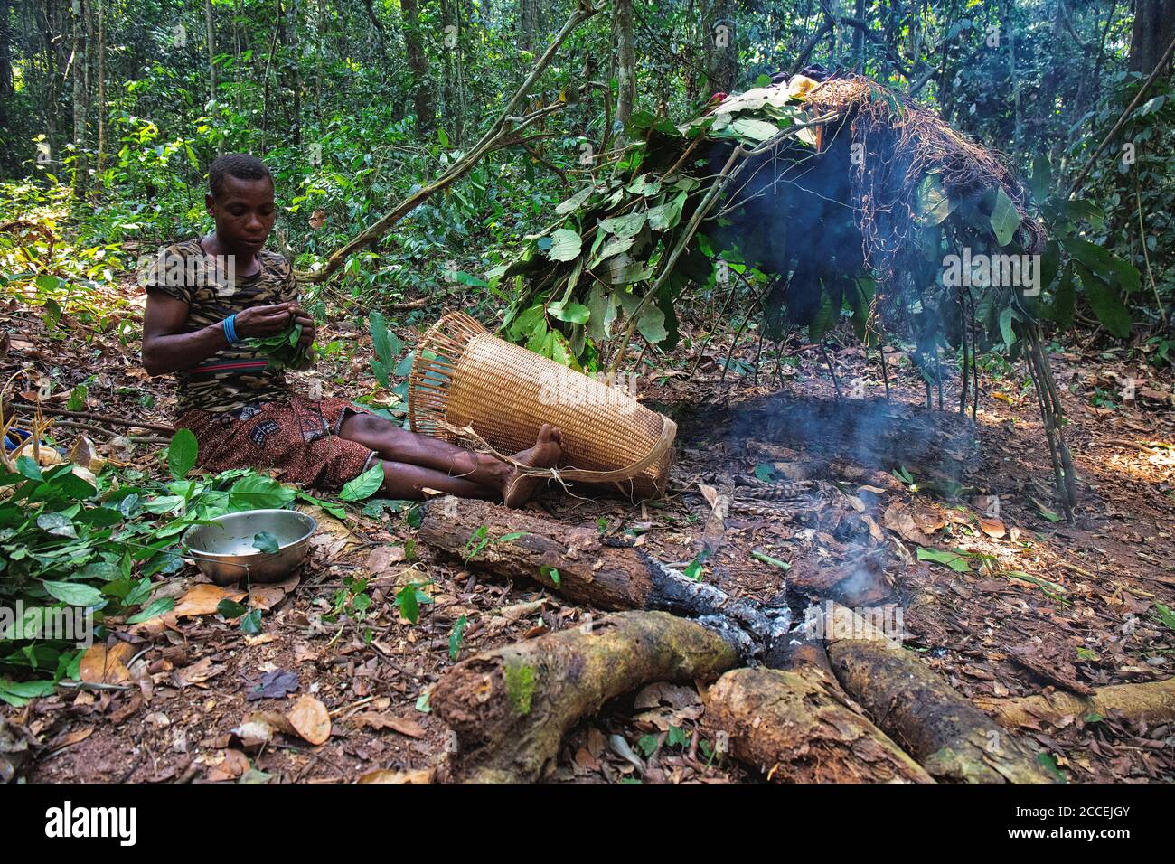 Pygmy tribe in the Dzanga-Sanha Forest Reserve, Central African ...