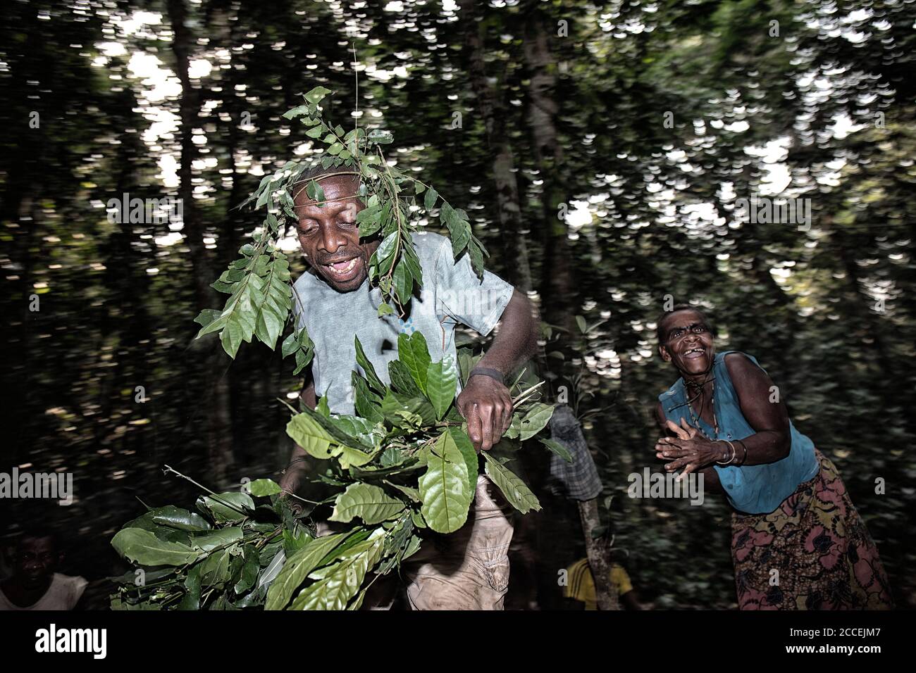 Pygmy tribe in the Dzanga-Sanha Forest Reserve, Central African ...