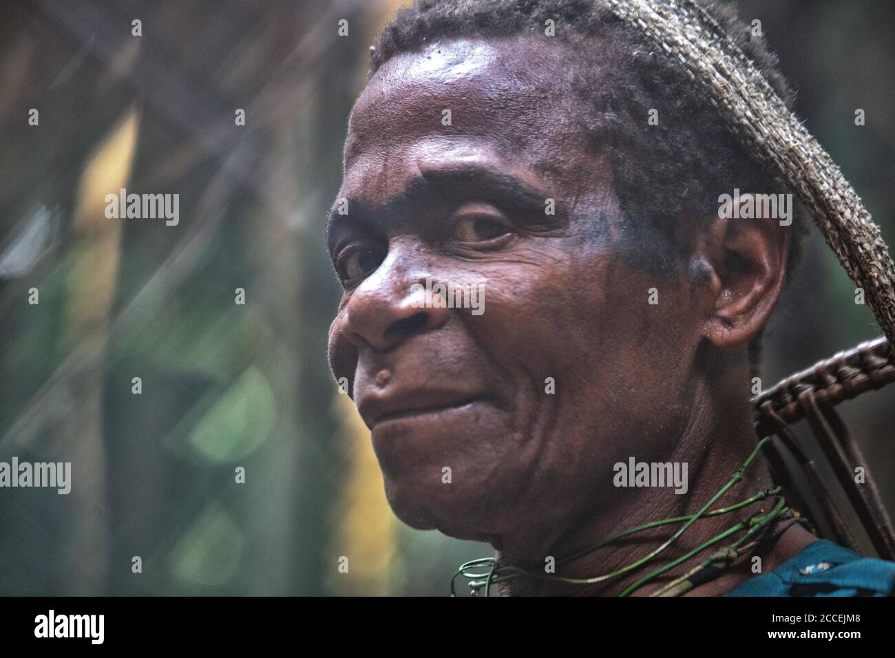 Pygmy tribe in the Dzanga-Sanha Forest Reserve, Central African ...