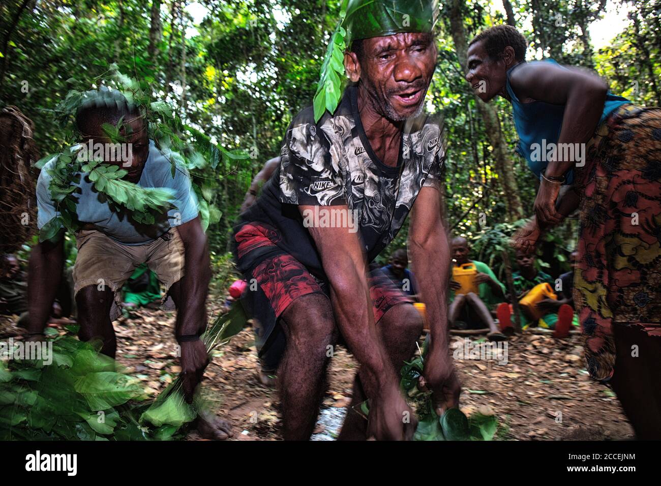Pygmy tribe in the Dzanga-Sanha Forest Reserve, Central African ...