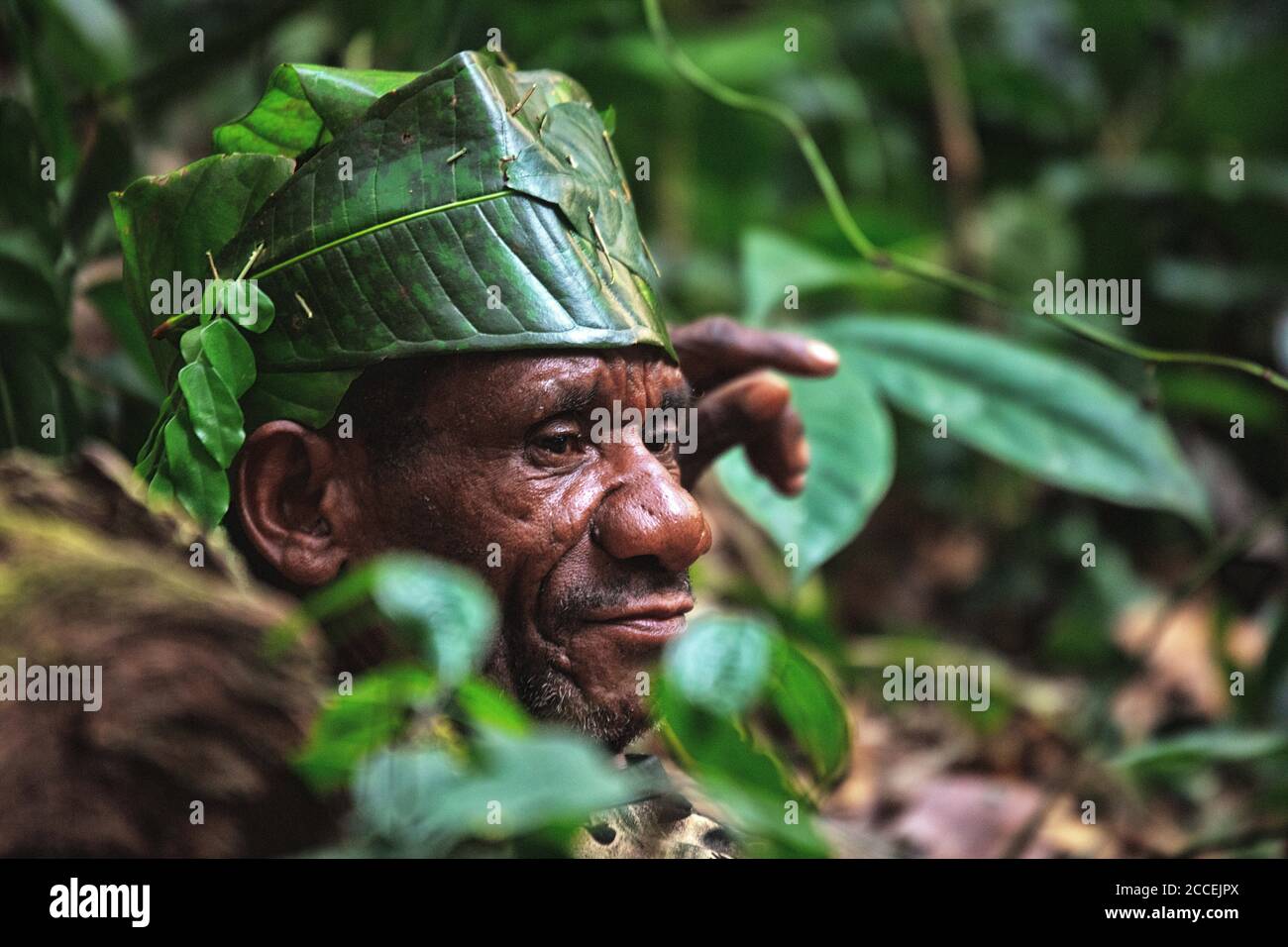 Pygmy Man High Resolution Stock Photography and Images - Alamy