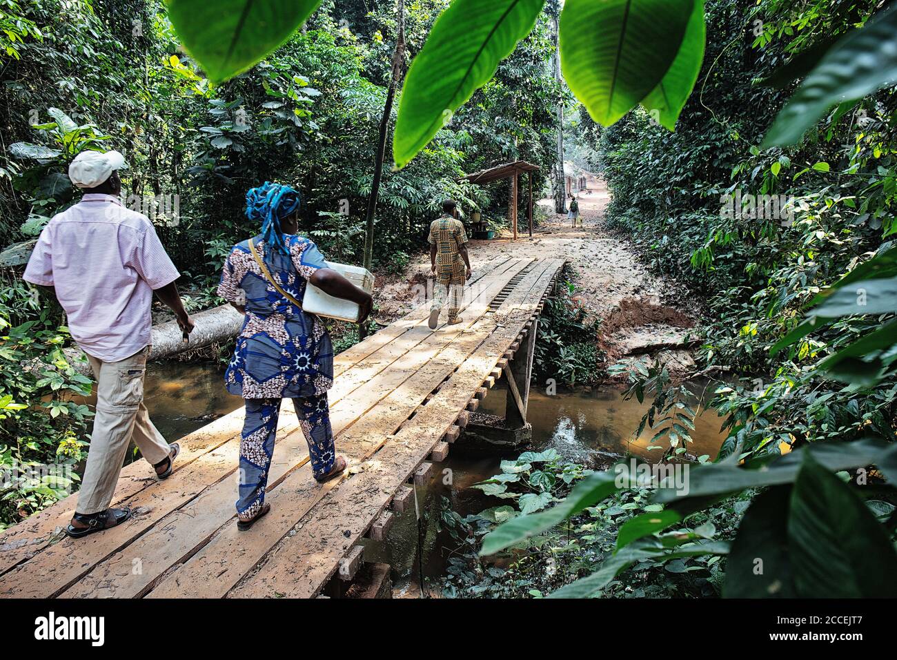 Biological station with scientist in Dzanga Sangha National Park ...