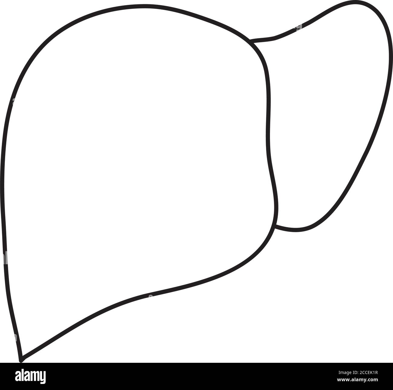 Human Body Concept Liver Organ Icon Over White Background Line Style