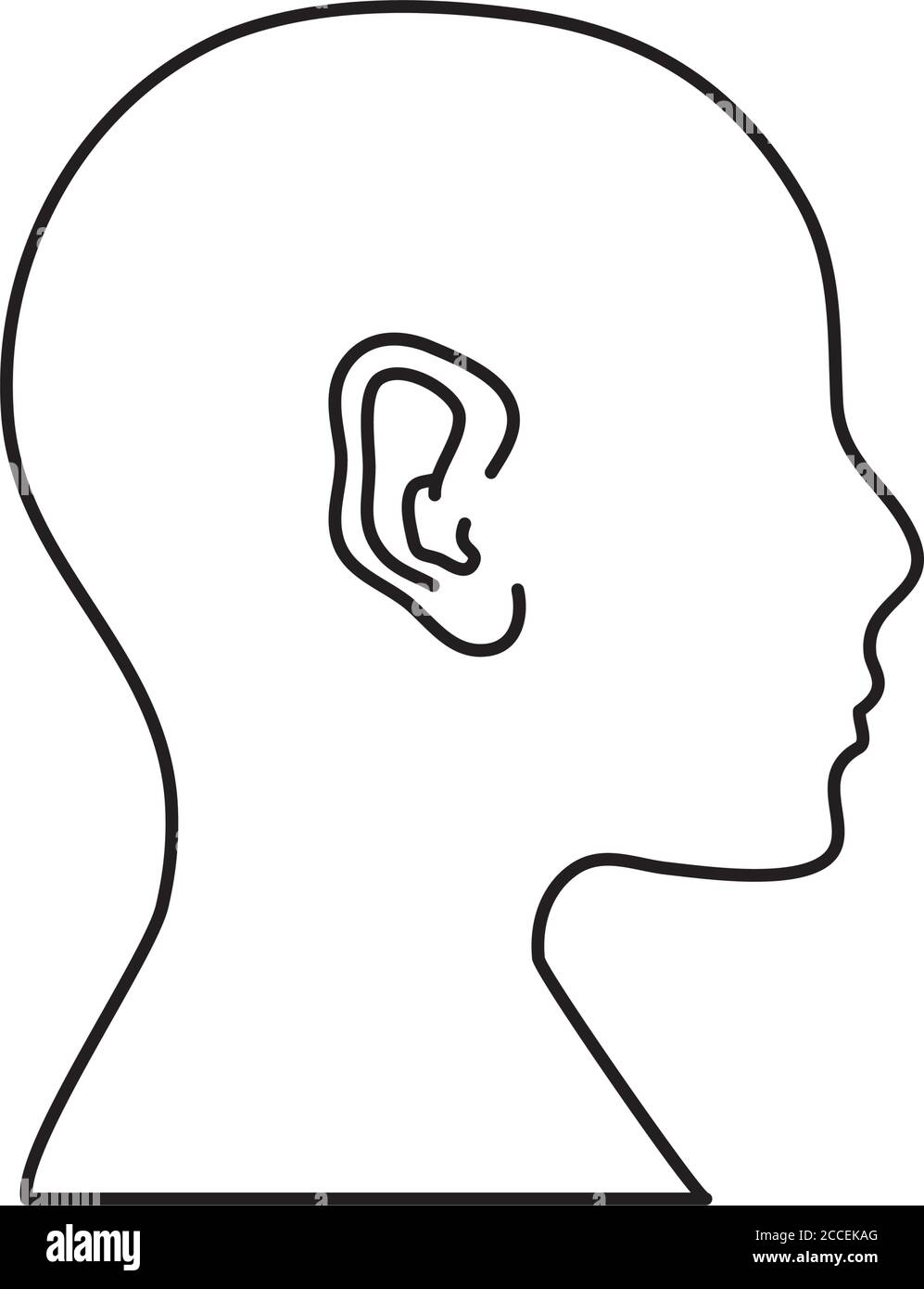 human body concept, profile head icon over white background, line style ...
