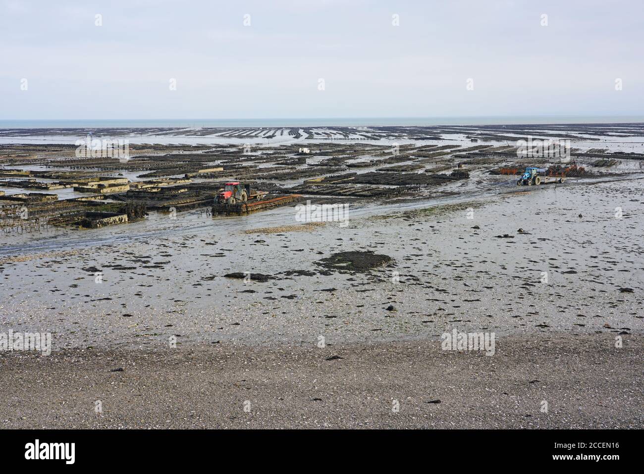 CANCALE, FRANCE -28 DEC 2019- View of oyster farms in the Atlantic ...