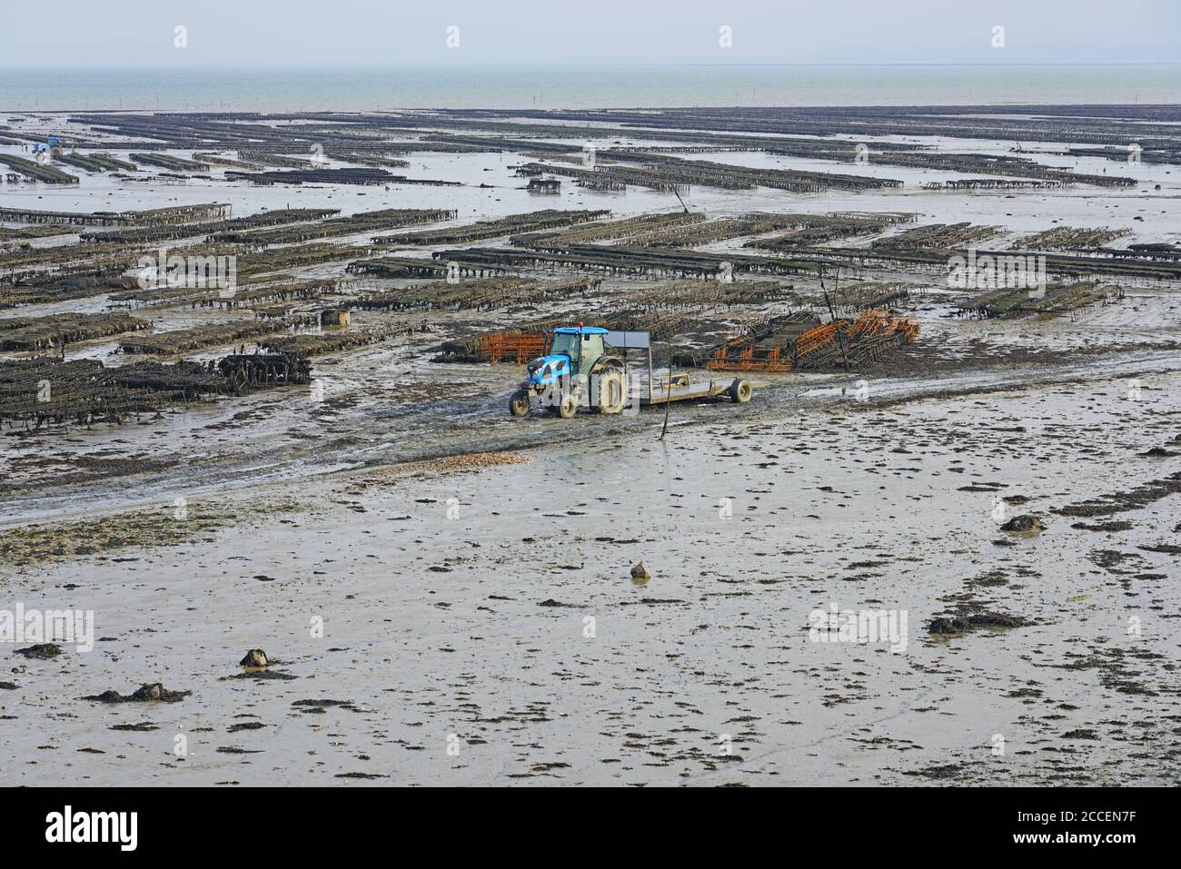 CANCALE, FRANCE -28 DEC 2019- View of oyster farms in the Atlantic ...