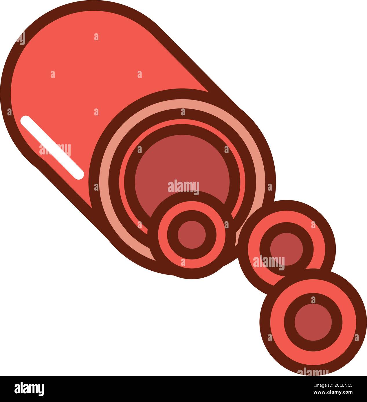 human body blood vessel anatomy organ health line and fill icon vector ...