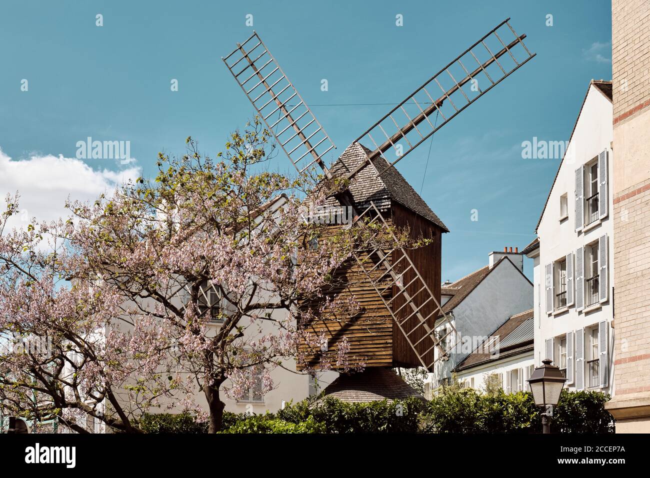 Europe, France, Paris, Montmartre, Sacre Coeur, Windmill, Mill with blooming Tree Stock Photo ...