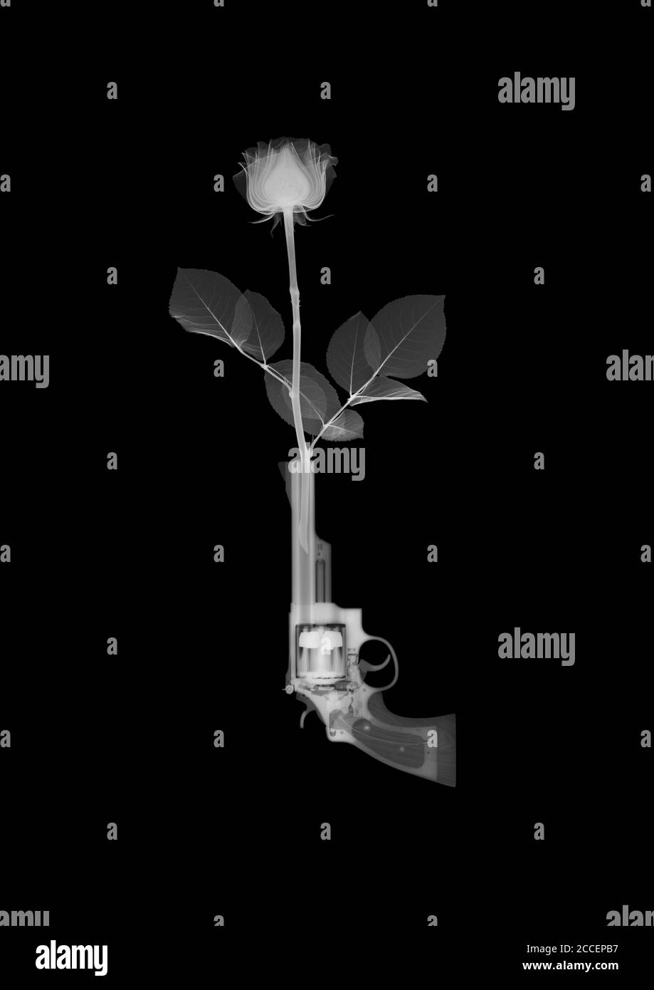 Gun and rose Black and White Stock Photos & Images - Alamy