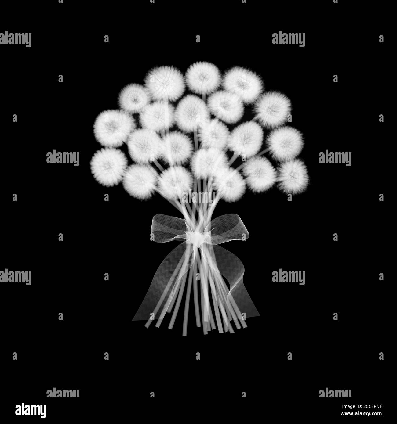 Xray flowers hi-res stock photography and images - Alamy