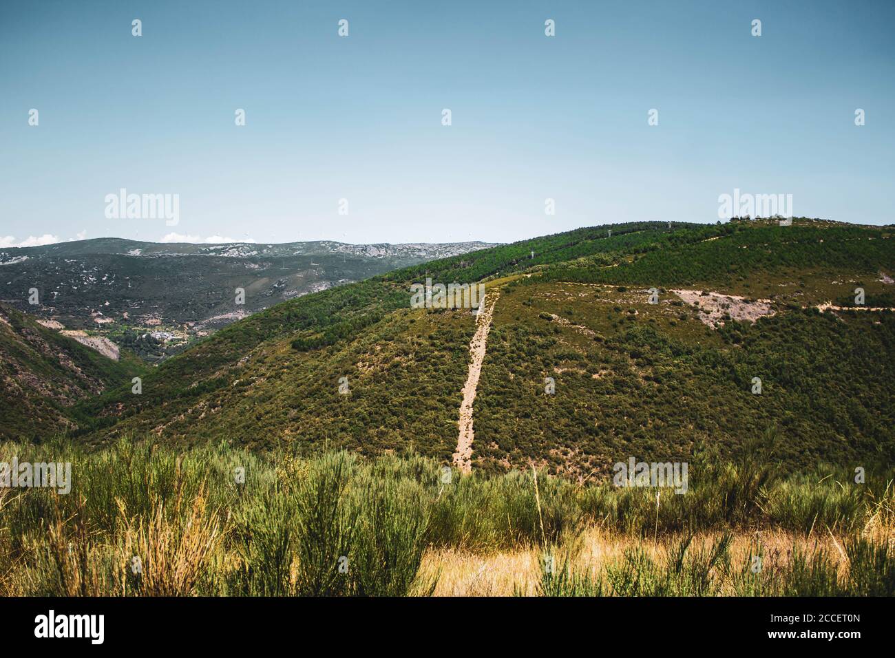 small road crossing a mountain of pine trees with more mountains Stock ...