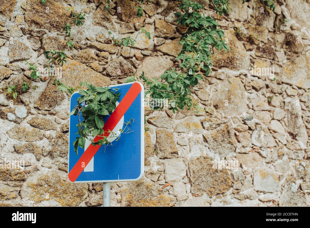 Vegetation medieval hi-res stock photography and images - Alamy