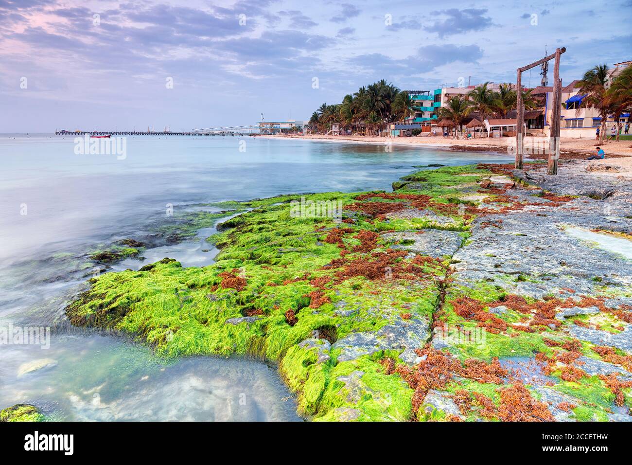 Playa del Carmen beach, Quintana Roo state, Mexico Stock Photo - Alamy