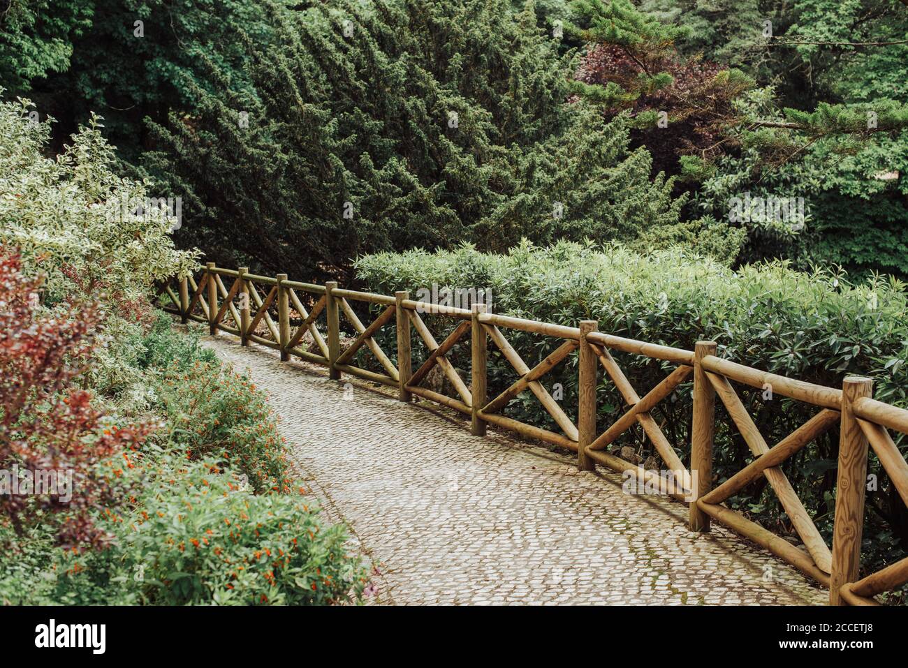 Stone path in a park Stock Photo - Alamy