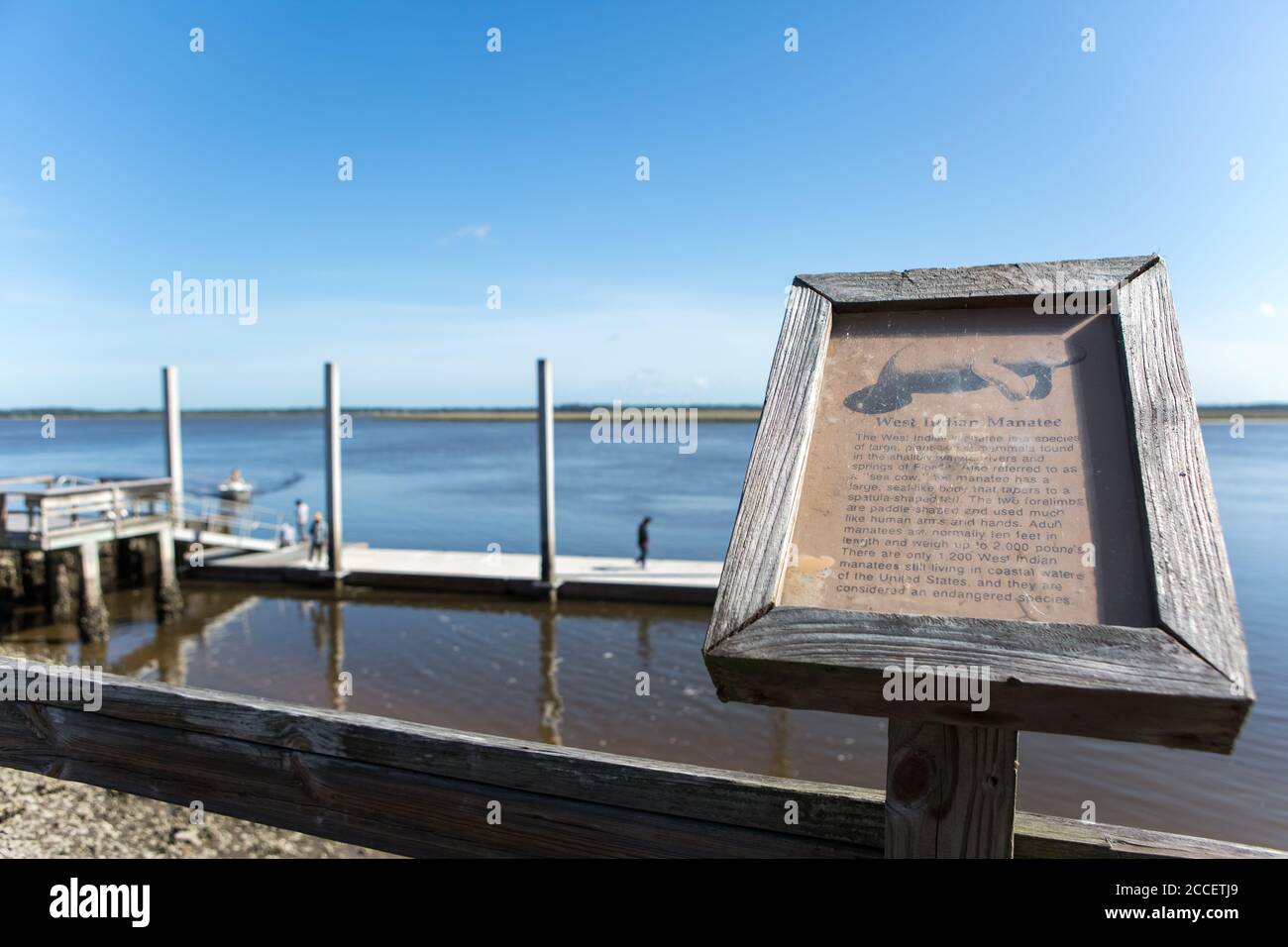West Indian Manatee Signage in Crooked River State Park Georgia Stock ...