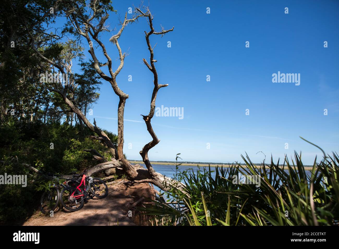 Bikes in Crooked River State Park Campground Stock Photo - Alamy