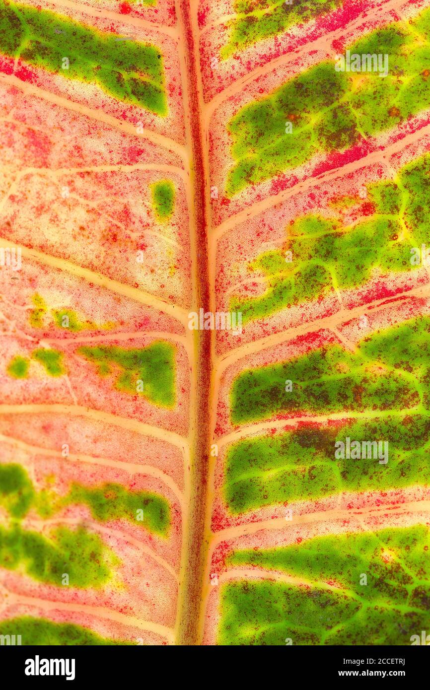 Many colors hi-res stock photography and images - Alamy