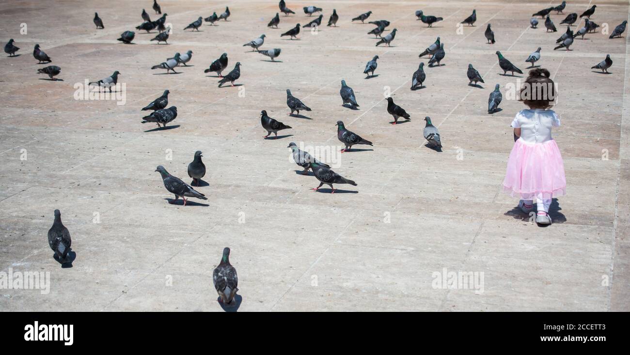 Little kid amid Lovely pigeon birds feed in an urban environment Stock ...