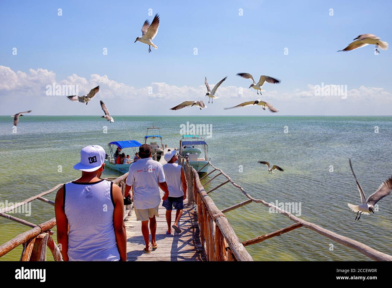 wooden pontoon serving as a birds observatory, Mexico, Cancun, Holbox ...