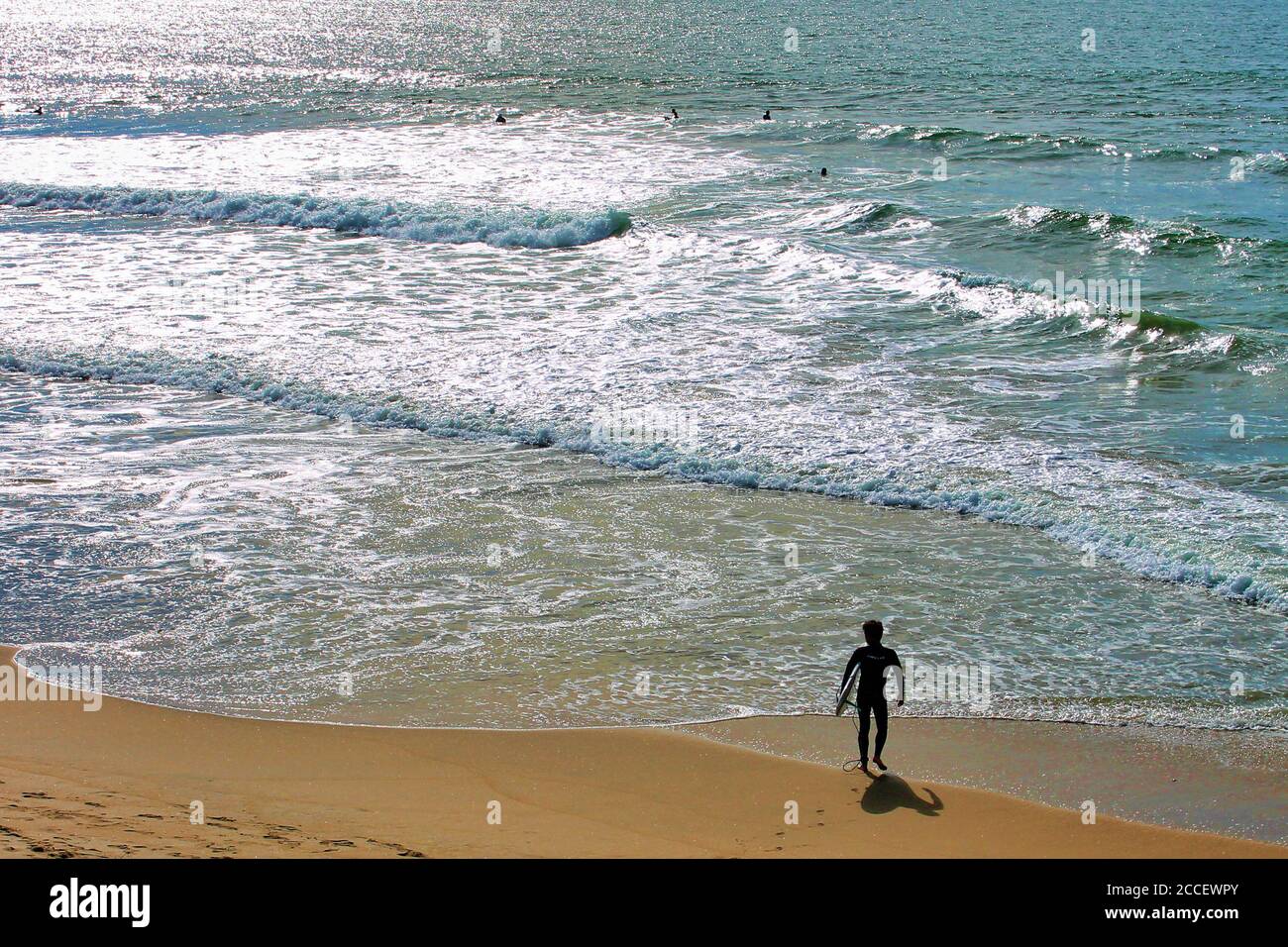 Aerial view of a persona walking near a foamy line of the ocean ...
