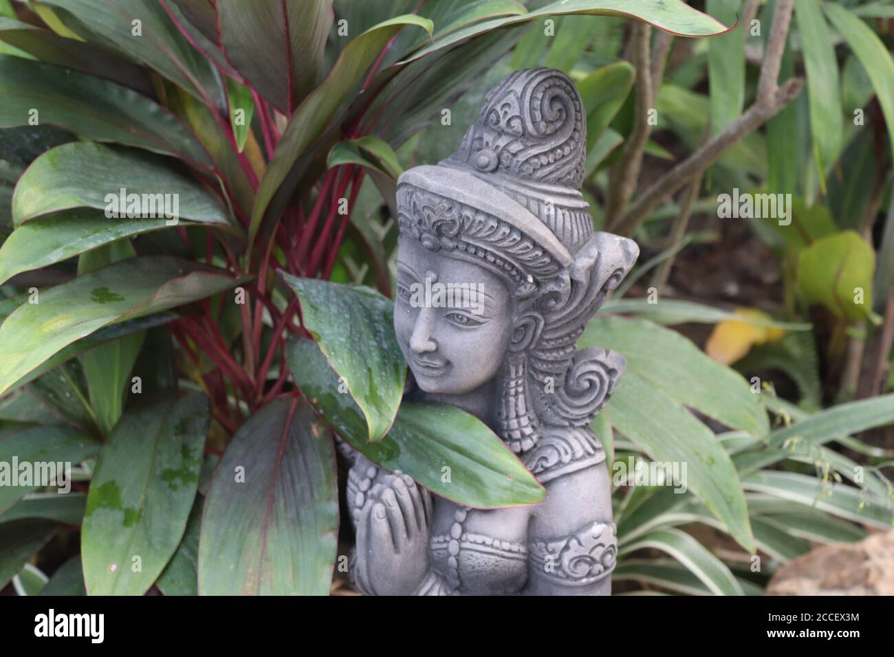 Statue in the plants Stock Photo - Alamy